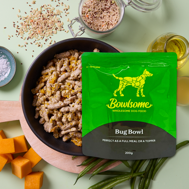 Insect Protein Dog Food – Eco-Friendly Single Protein Meal | Bowlsome ...
